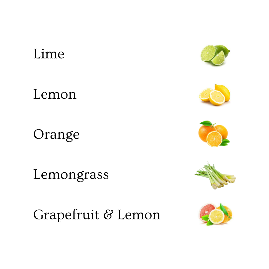 Citrus Fruit – Nurtured, by Ny LLC
